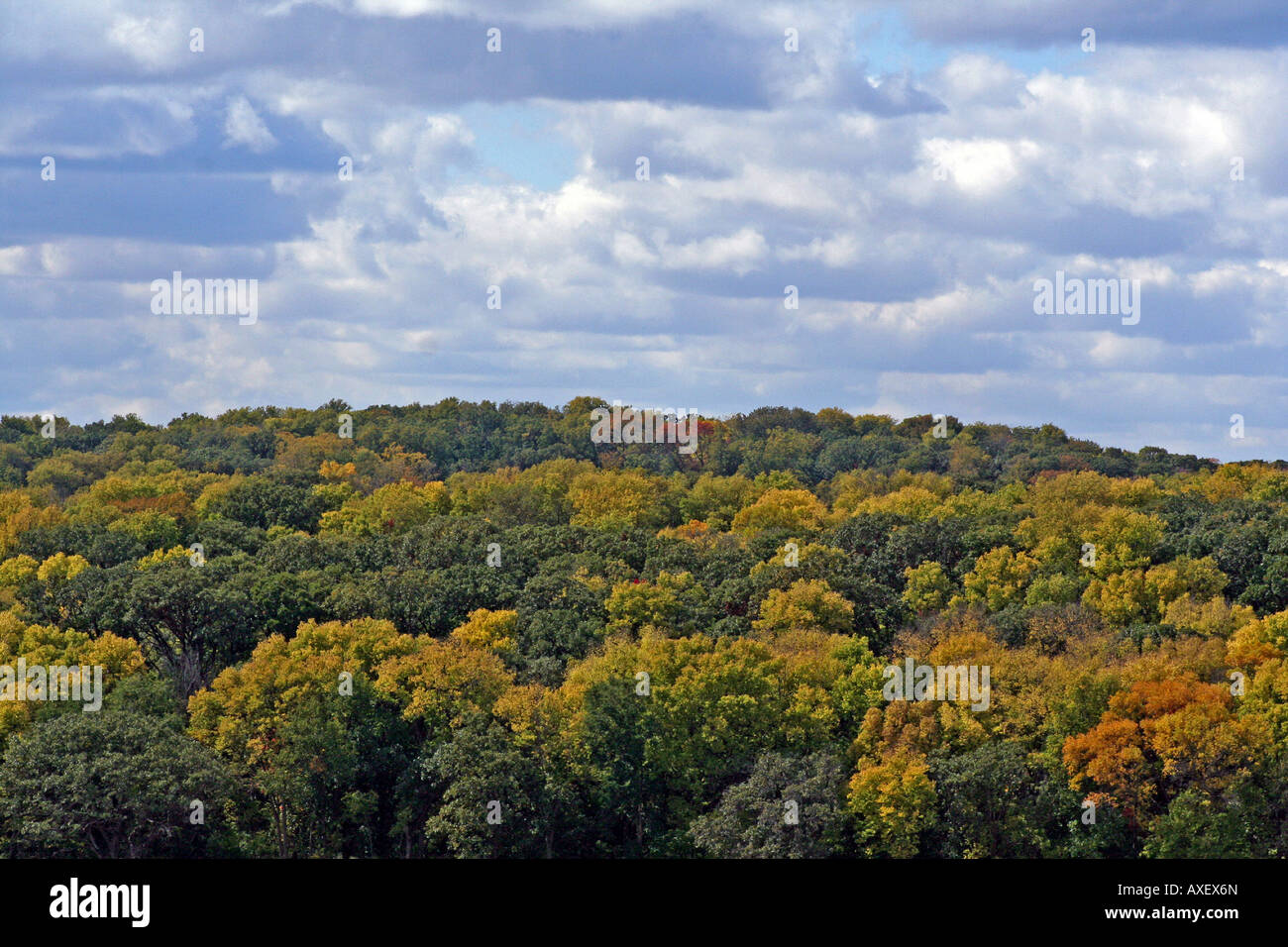 Bark covered shelter hi-res stock photography and images - Alamy