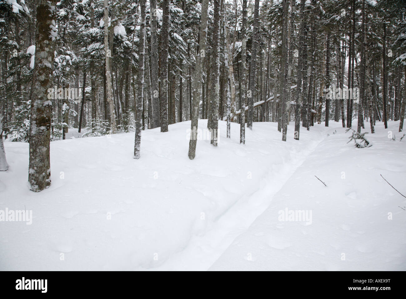 Hikers snowshoeing on the Hancock Notch Trail during the winter months ...
