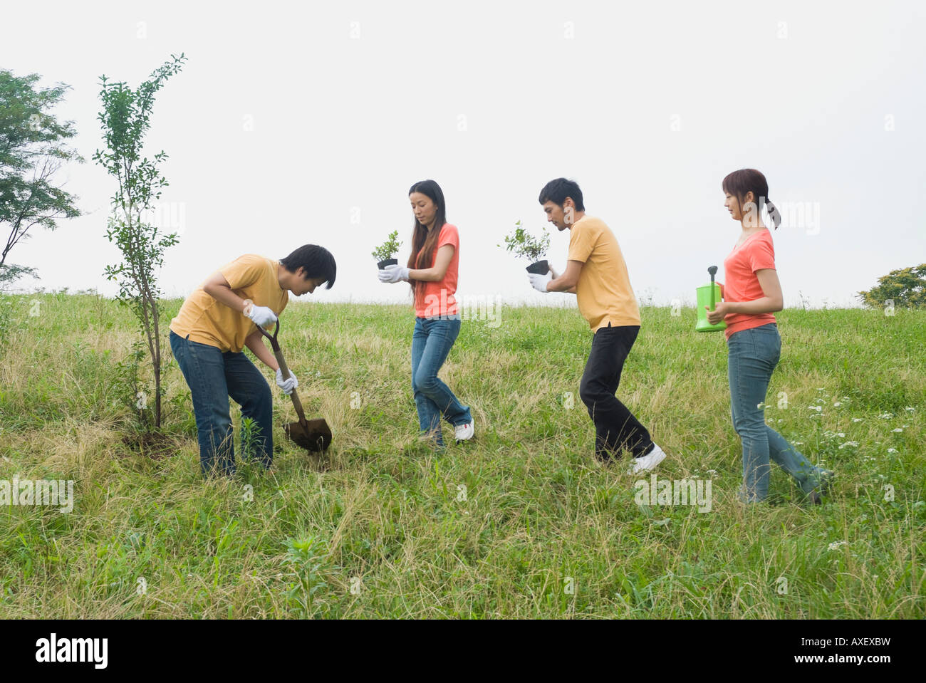 Young people planting tree Stock Photo - Alamy