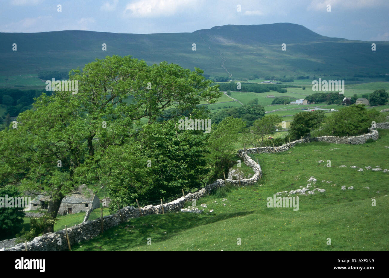 View towards Whernside, with Dry Stone Wall, near Ingleton, Yorkshire ...
