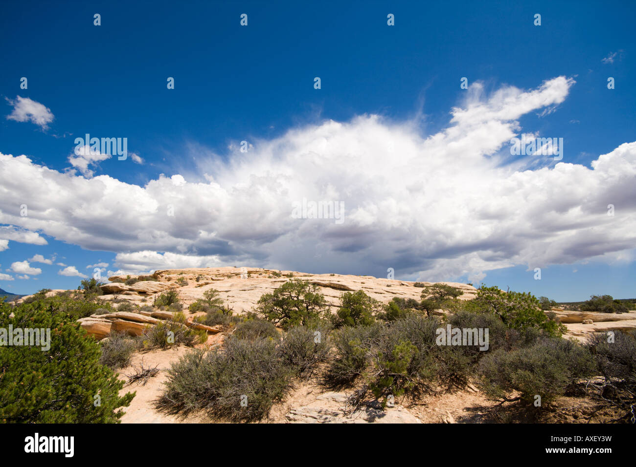 Over a hill hi-res stock photography and images - Alamy