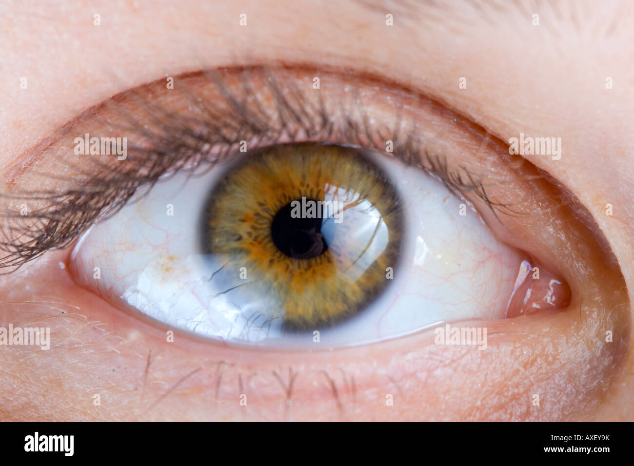 Dilated iris of an eye hi-res stock photography and images - Alamy