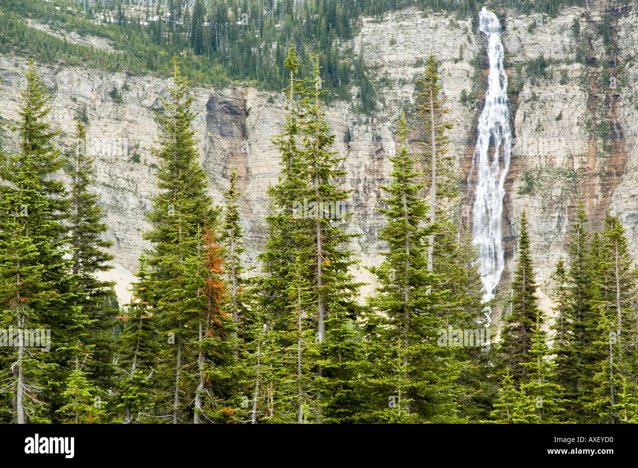 The Crypt Lake Falls plunge off a cliff in Waterton Lakes National Park ...