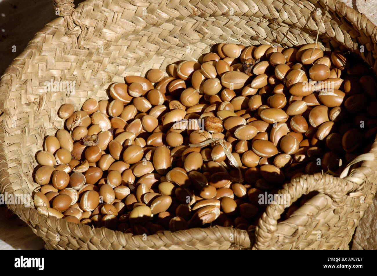 Argan nuts in a woven basket near Essaouria Morocco Stock Photo - Alamy
