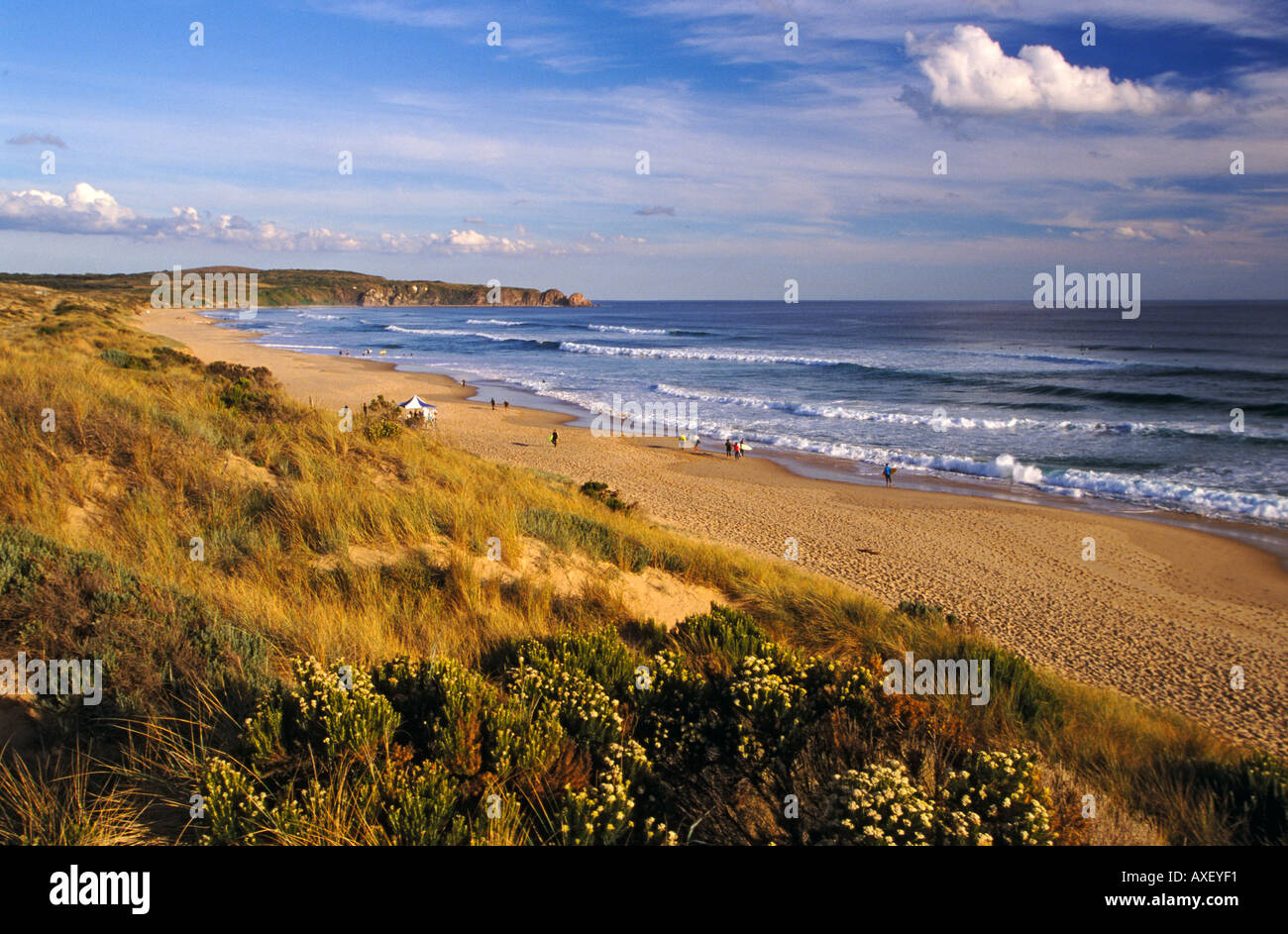 Woolamai Beach High Resolution Stock Photography and Images - Alamy