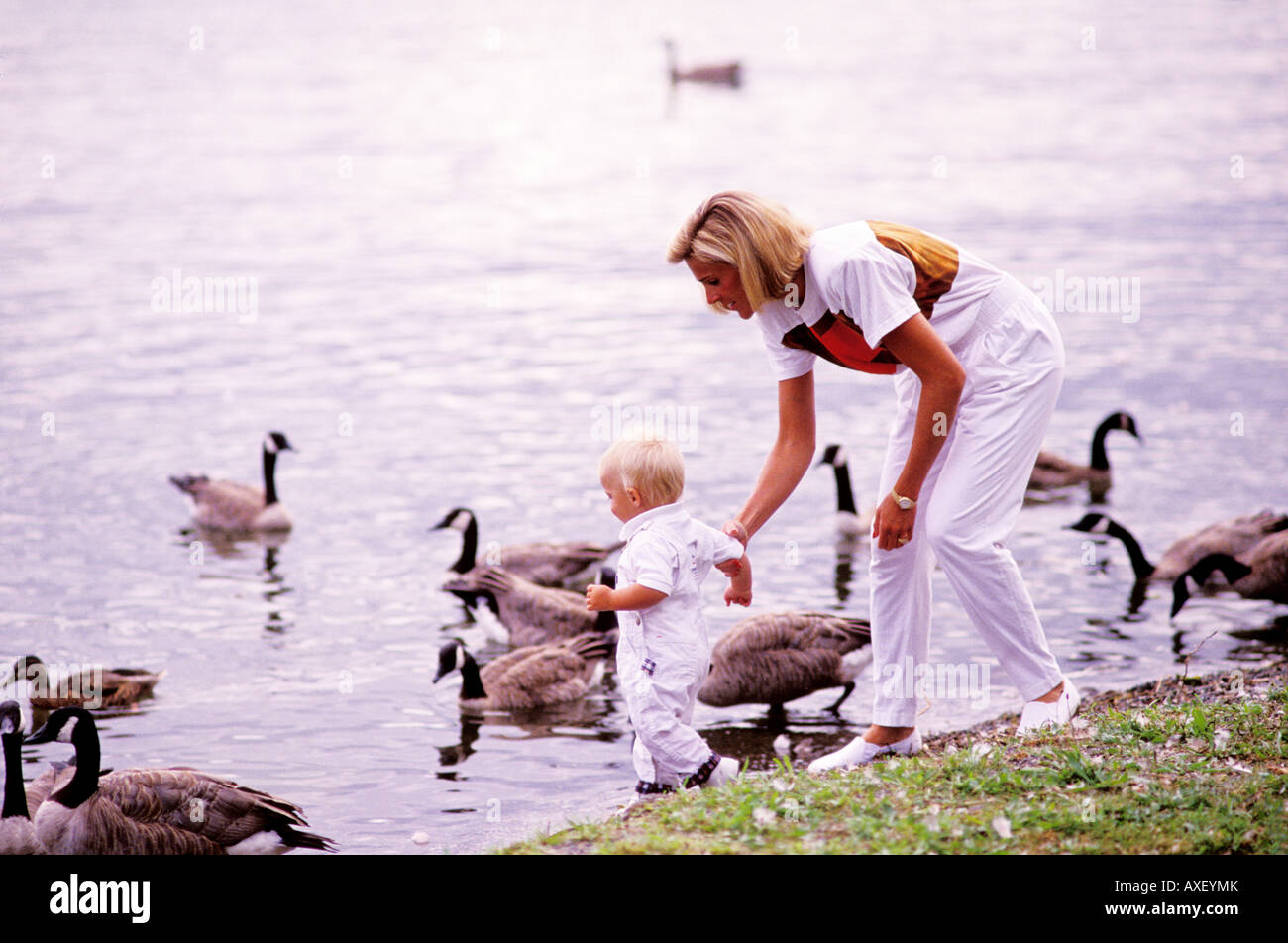 A mother introduces her 2 year old son to Canadian geese at the shore ...