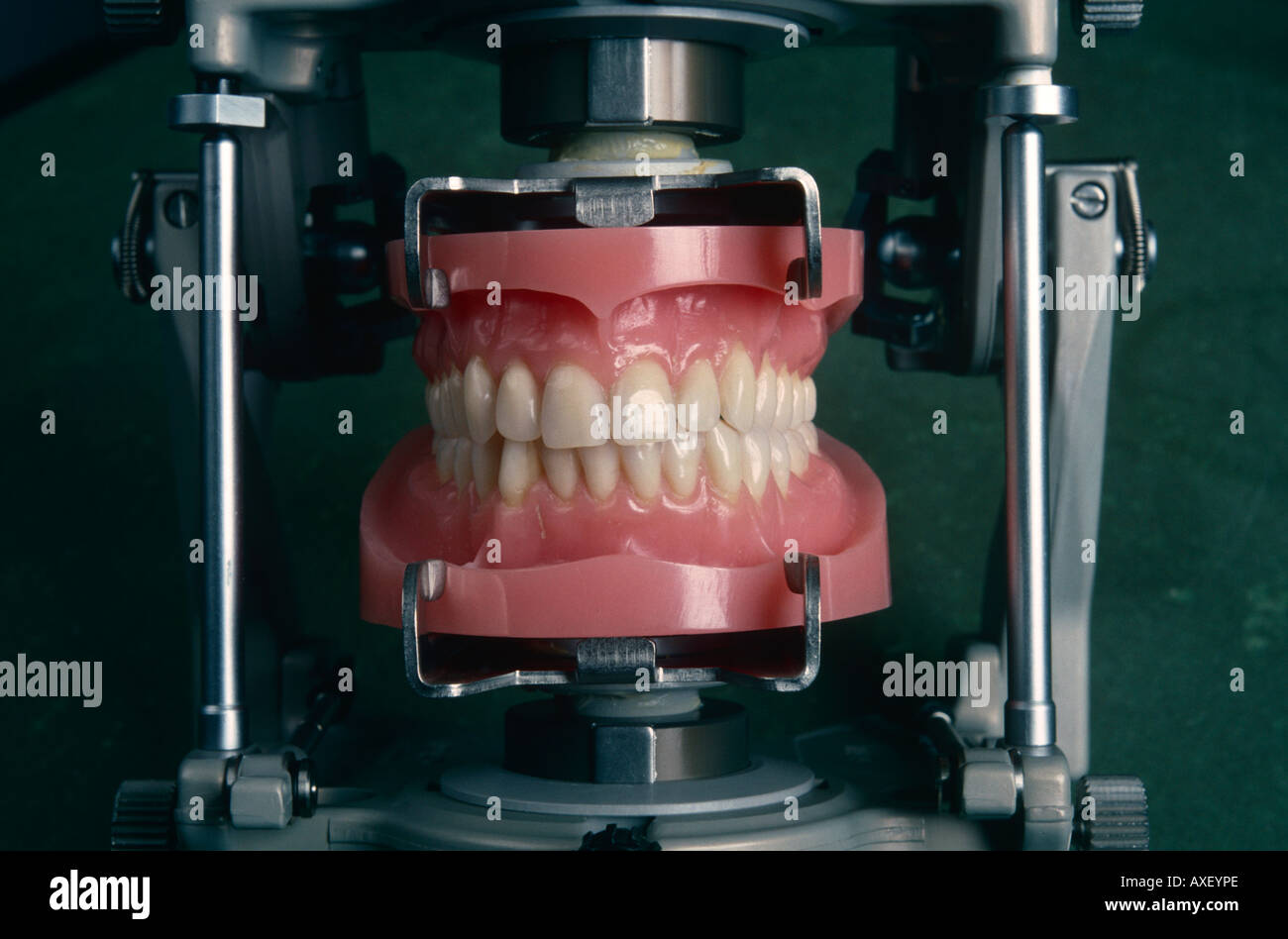 Acrylic teeth samples are displayed at Ivoclar in Schaan, Liechtenstein ...