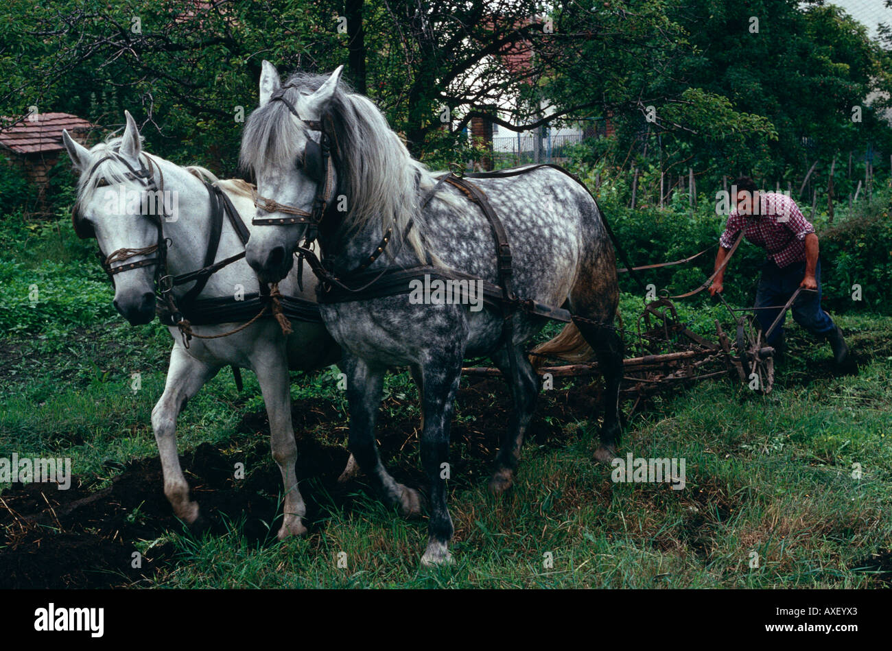 Scratch plough hi-res stock photography and images - Alamy