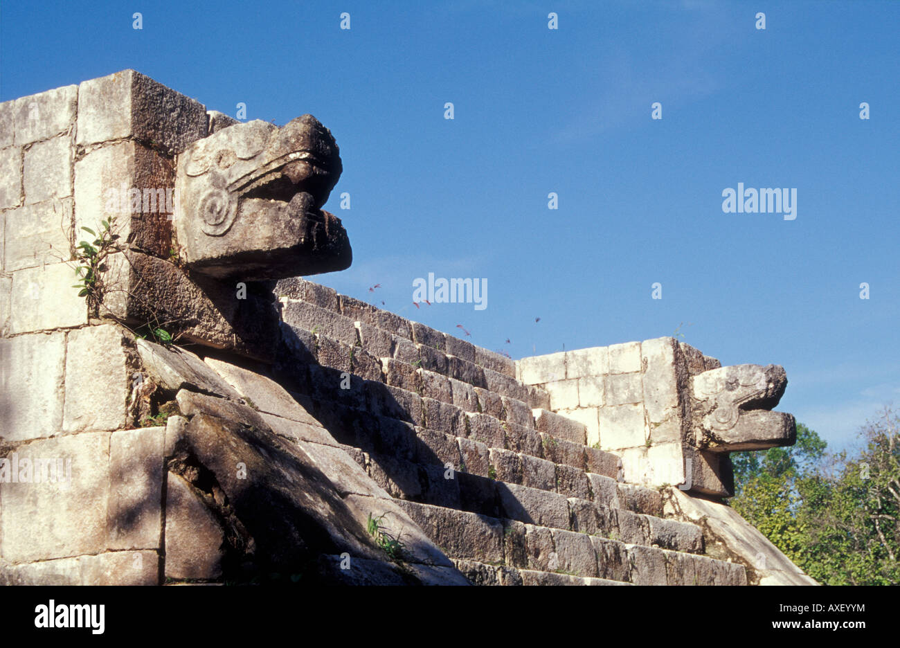 Serpent heads decorating the Venus Platform, Chichen Itza, Yucatan ...