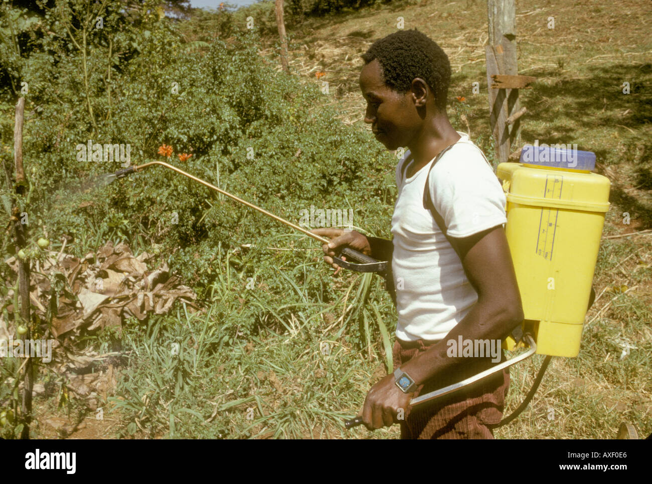 Insecticide spraying africa hi-res stock photography and images - Alamy