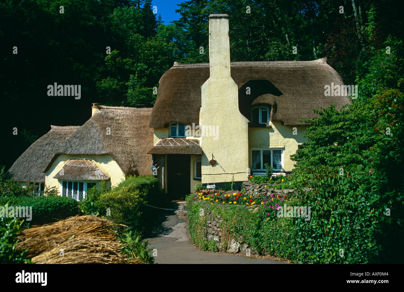 Thatched Cottage, Selworthy, Somerset, England, UK Stock Photo - Alamy