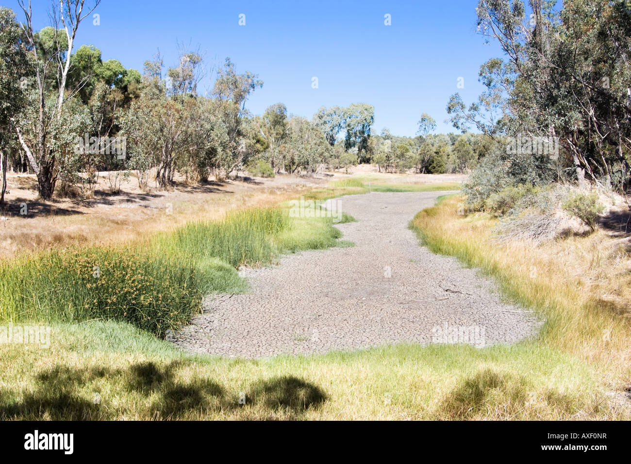 Dried up lake bed in bushland in Wellard, south of Perth in Western ...