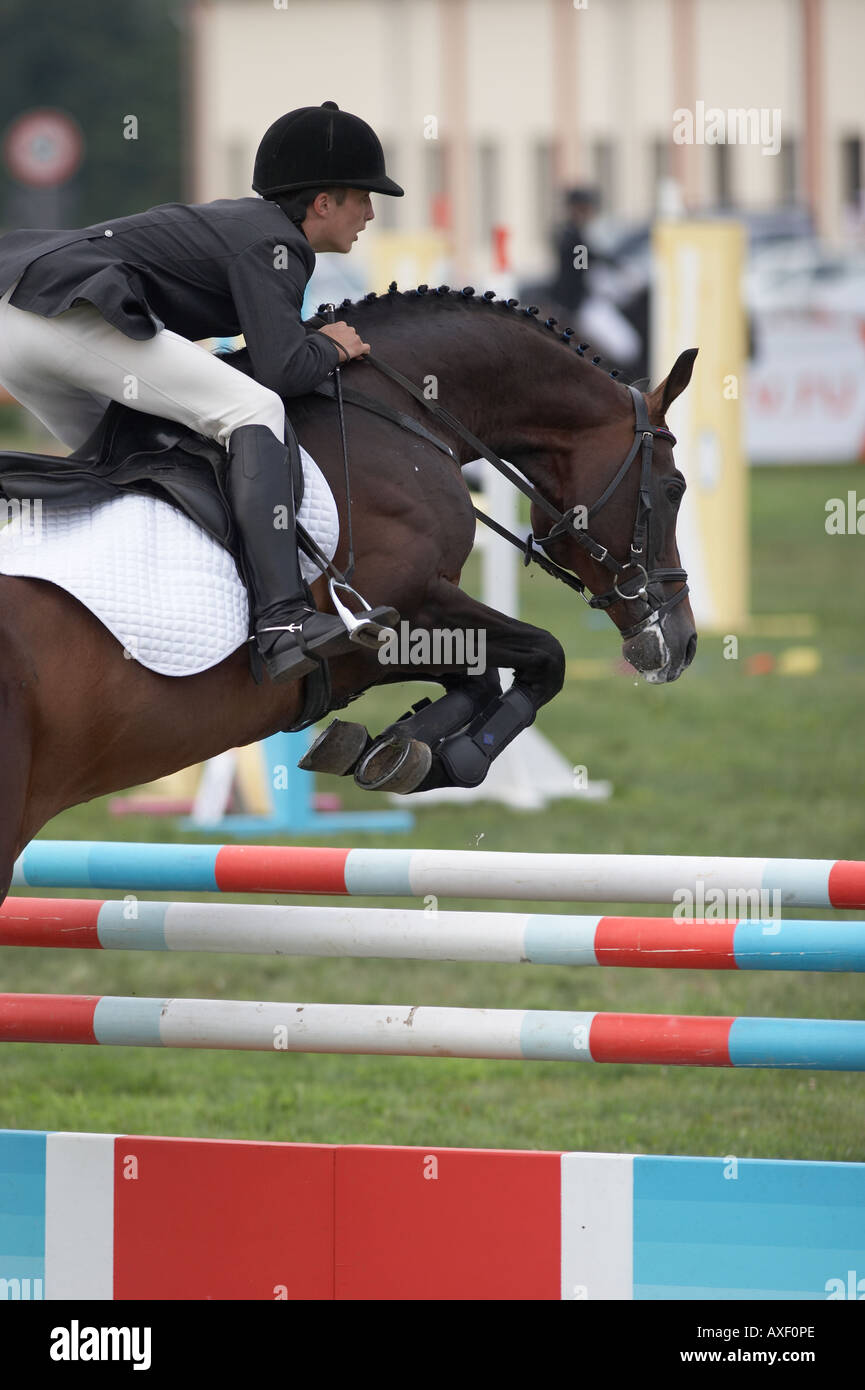 Show jumping competition Stock Photo - Alamy