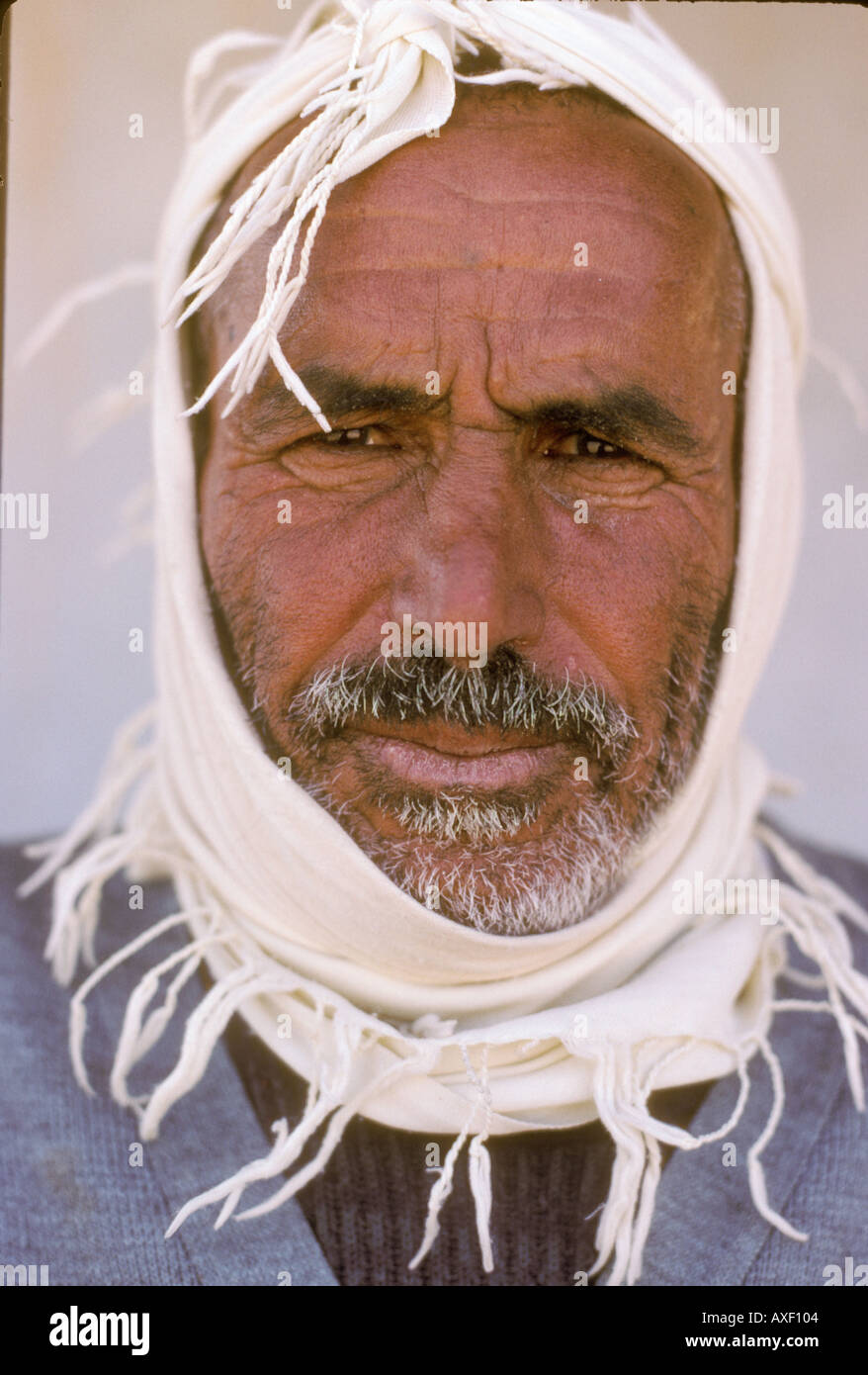 Bedouin farmers hi-res stock photography and images - Alamy