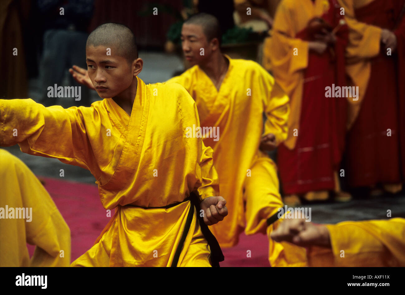 The Shaolin temple monks in action Henan China Stock Photo - Alamy The Shaolin temple monks in action Henan China Stock Photo - Alamy