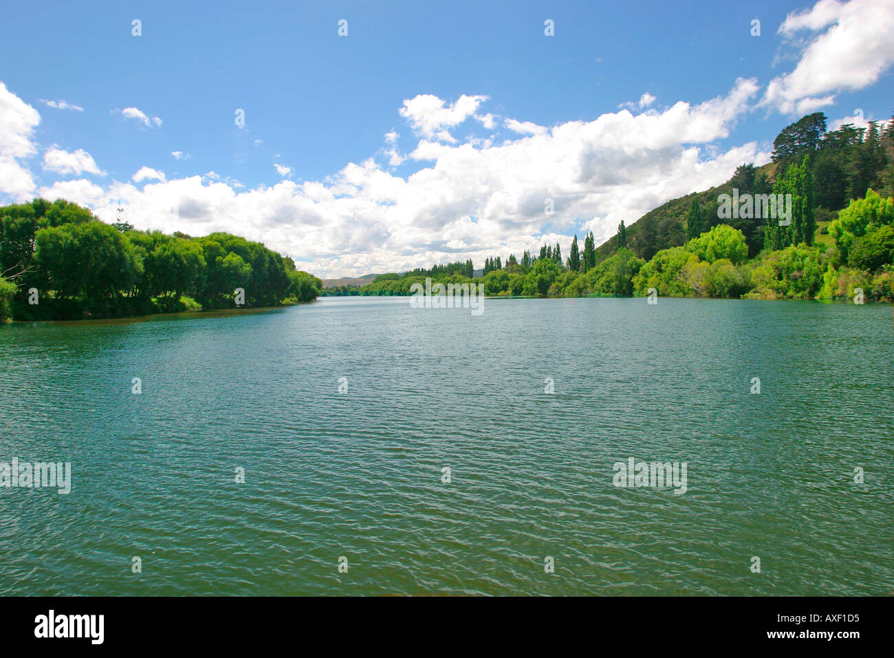 Whanganui River New Zealand Stock Photo - Alamy