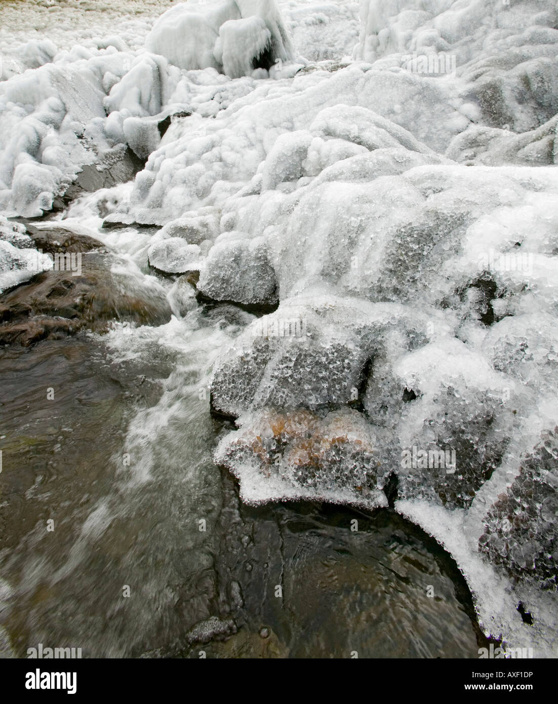 Strong coating hi-res stock photography and images - Alamy