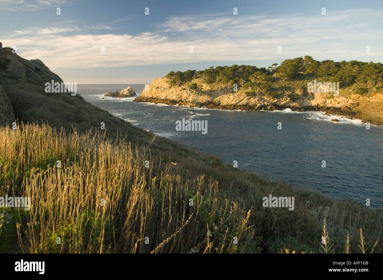 Looking out to Monterey Bay from Point Lobos State Reserve, California ...