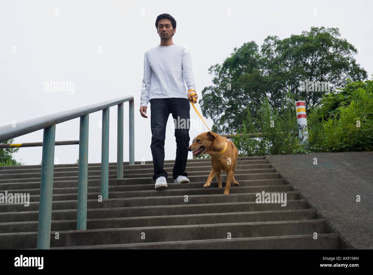 24 steps hi-res stock photography and images - Alamy