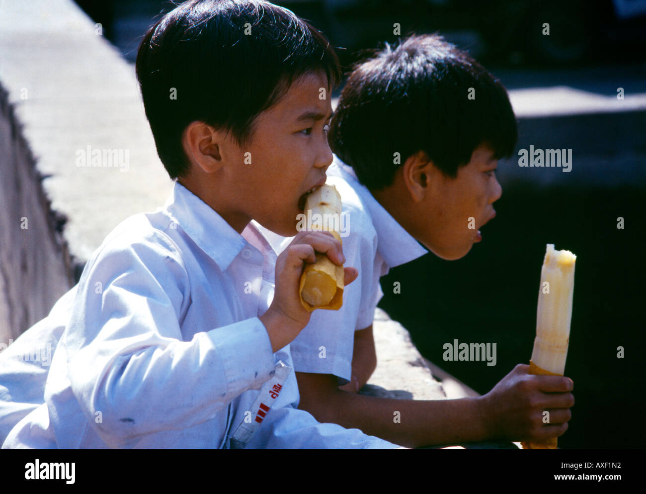 Children chewing sugar cane hi-res stock photography and images - Alamy