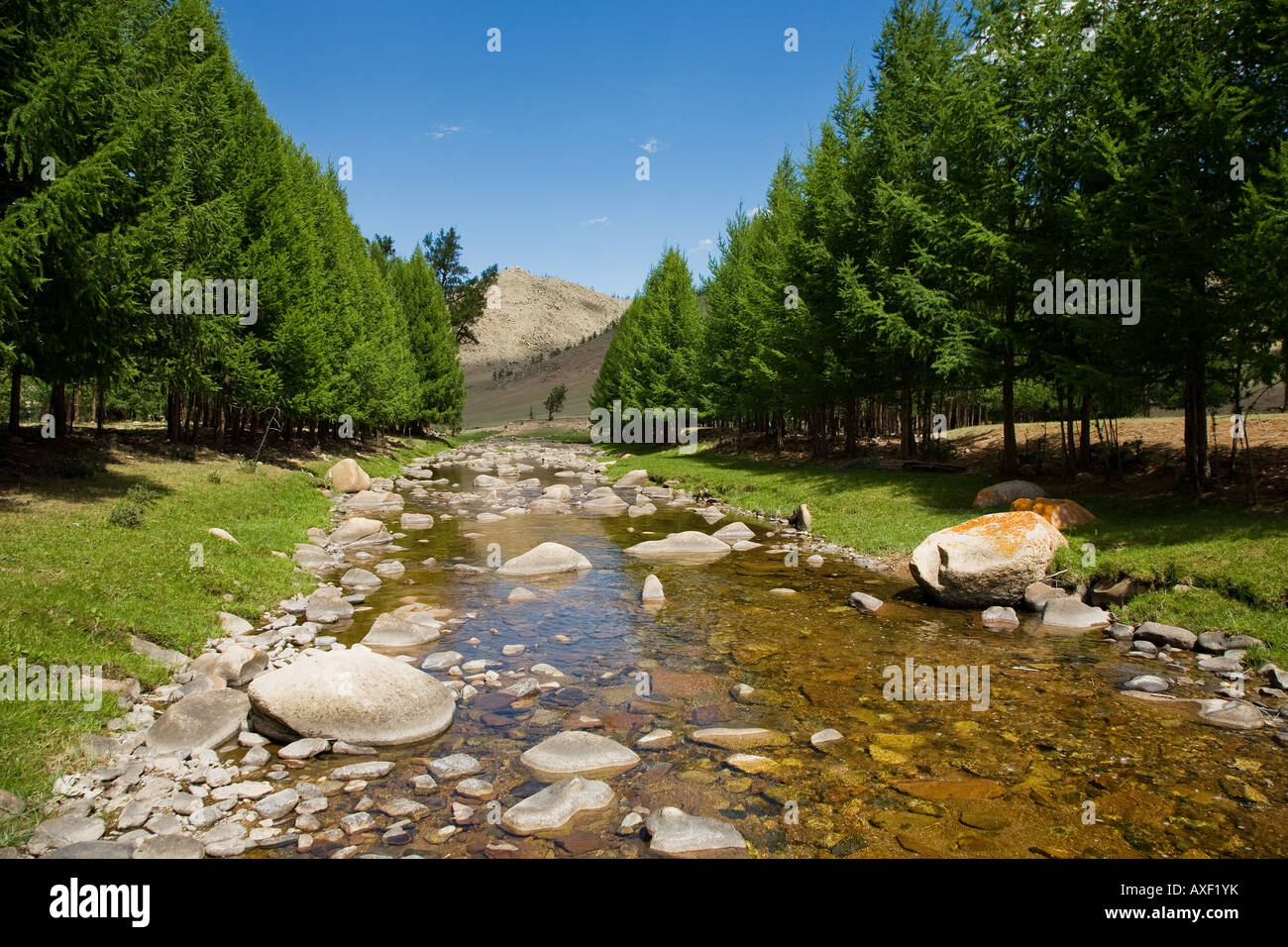 Jargalant hi-res stock photography and images - Alamy