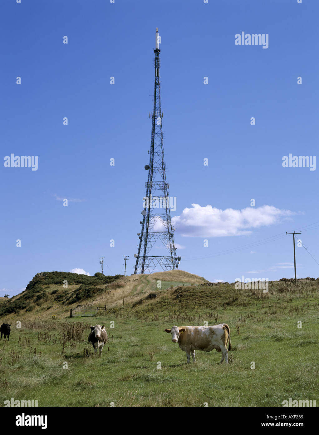 Large Television Mast Fife Scotland Stock Photo - Alamy