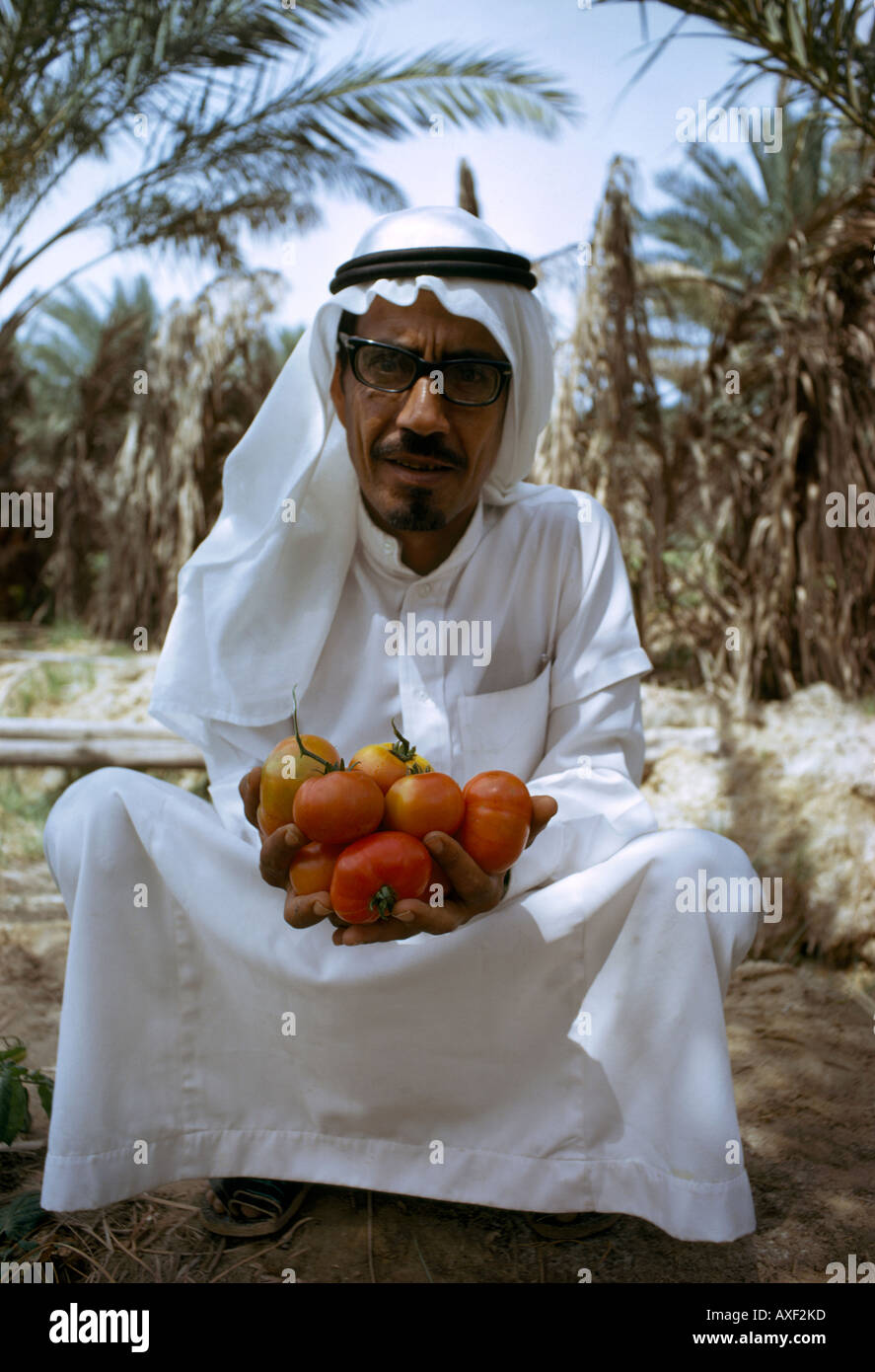 Gassim Saudi Arabia Man Holding Tomatoes Stock Photo - Alamy