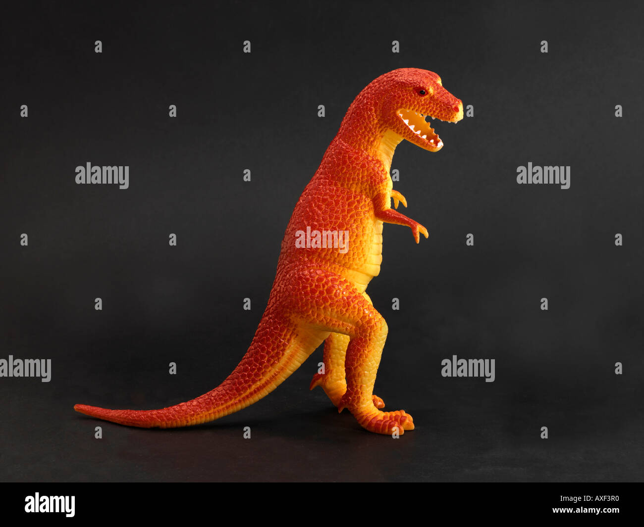 Tyrannosaurus Rex Model Stock Photo - Alamy
