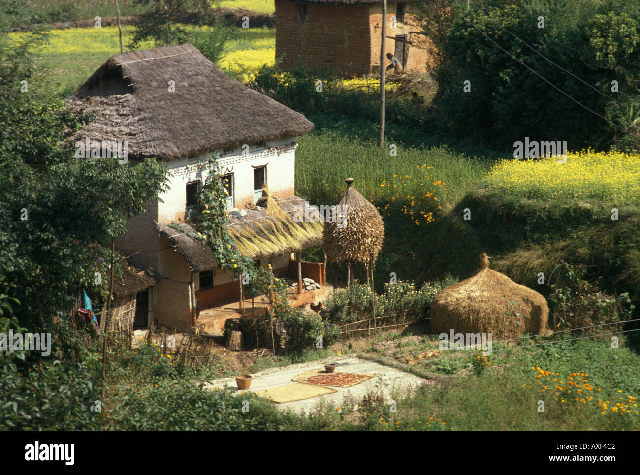 Asia Nepal Kathmandu Valley Stock Photo - Alamy