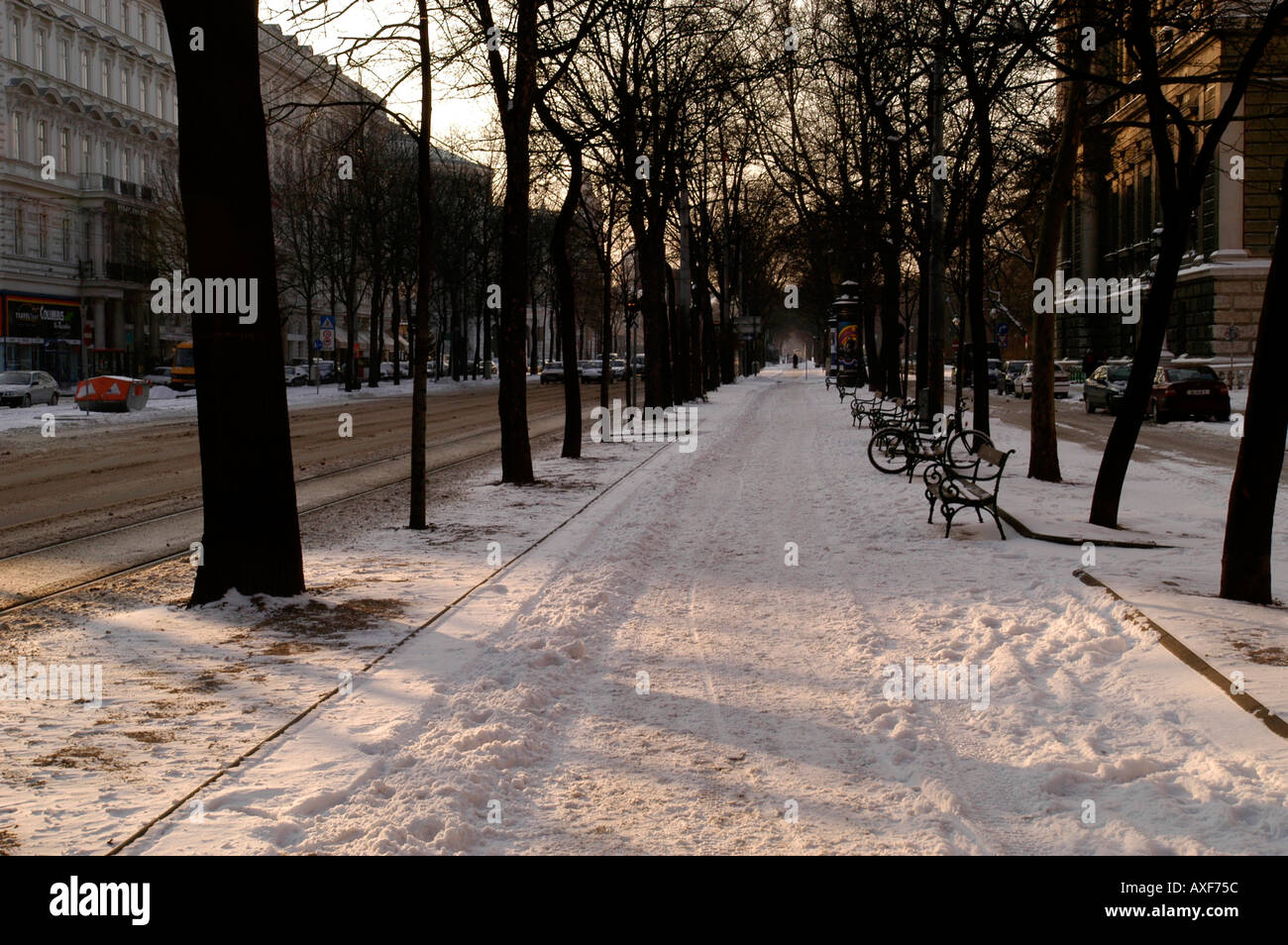 winter in Vienna, snow Stock Photo - Alamy