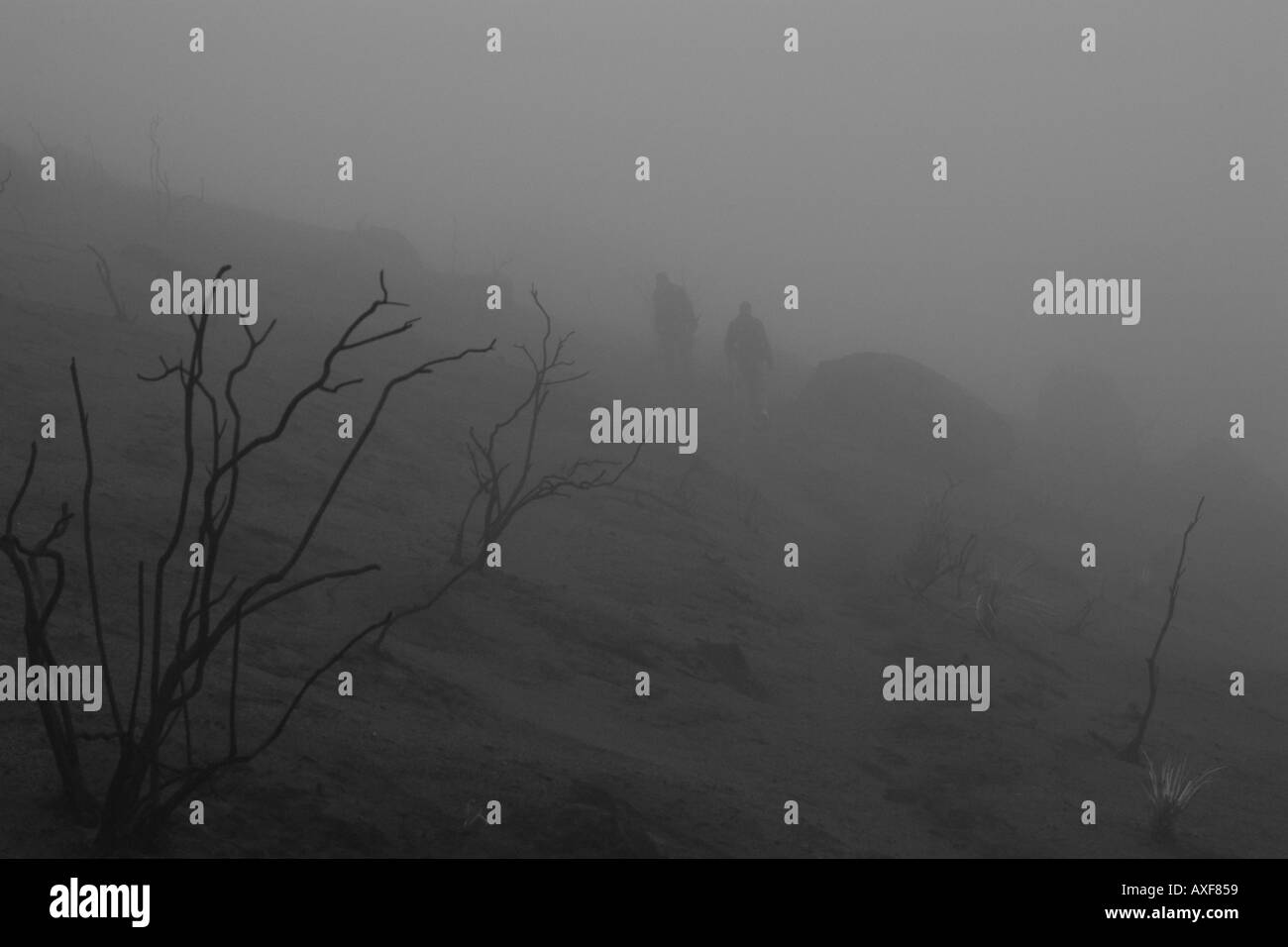 Fire devistation hi-res stock photography and images - Alamy