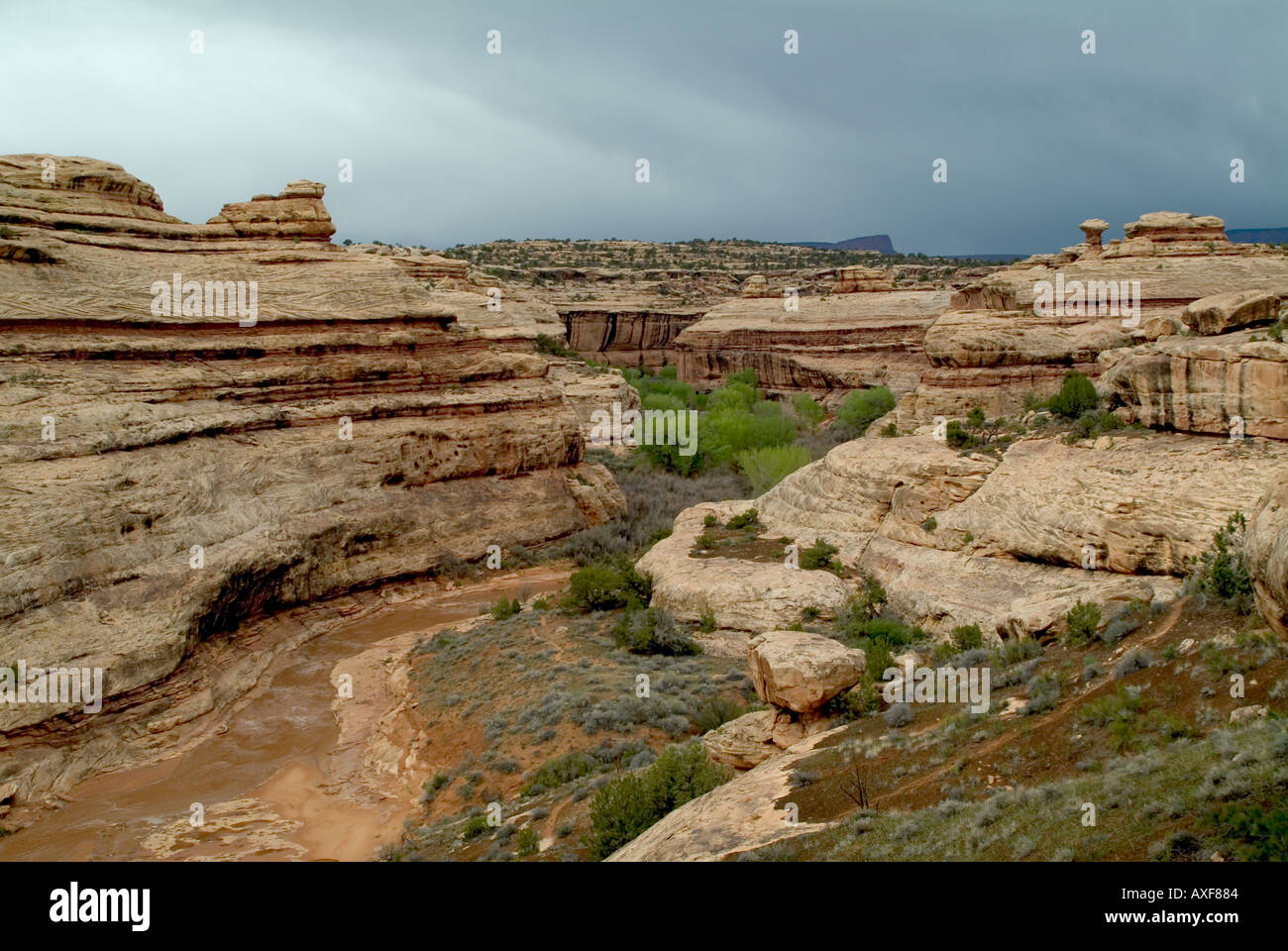 The Grand Gulch Stock Photo - Alamy