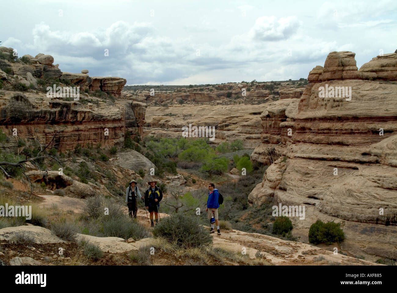 The Grand Gulch Stock Photo - Alamy
