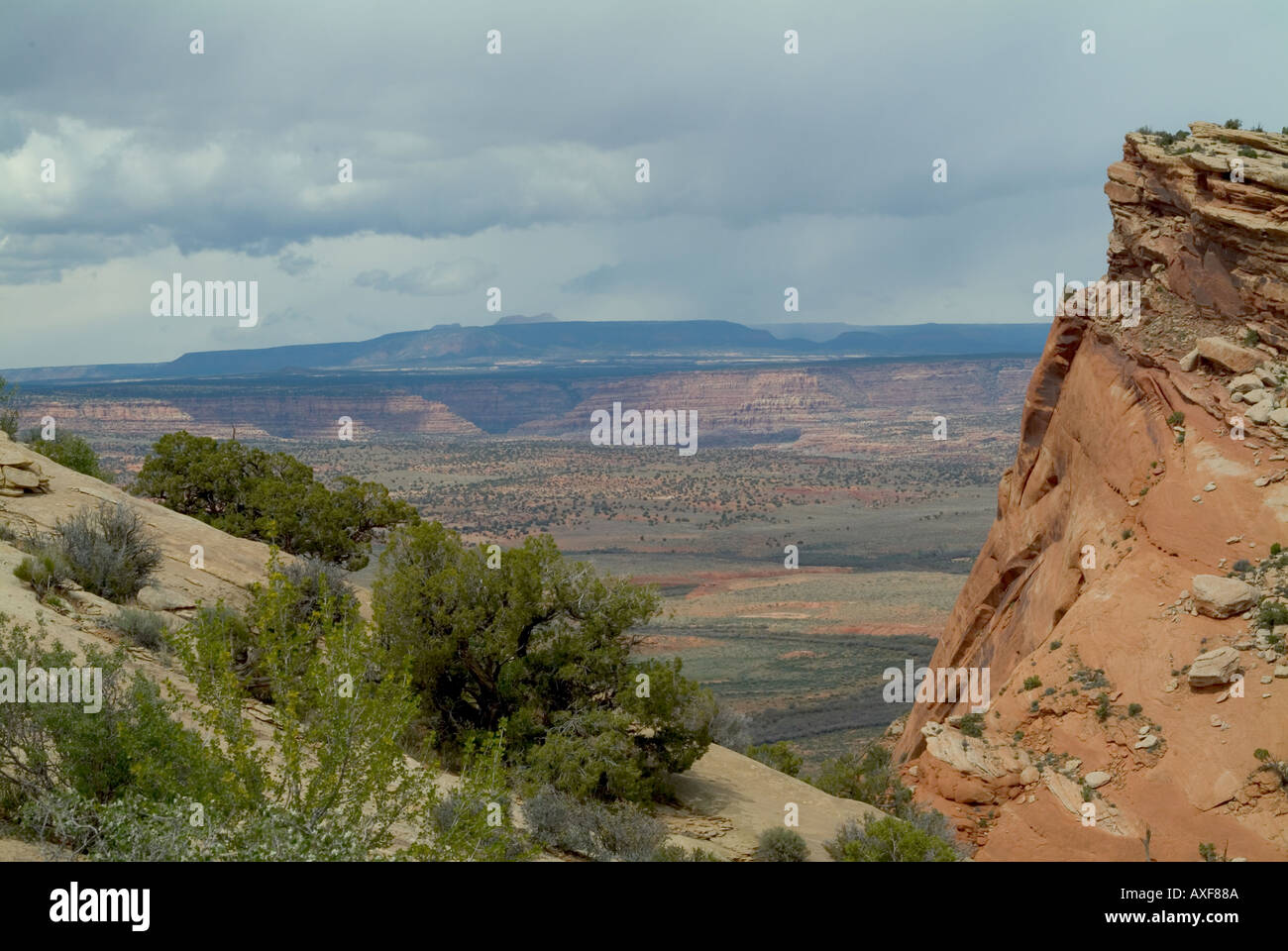 The Grand Gulch Stock Photo - Alamy