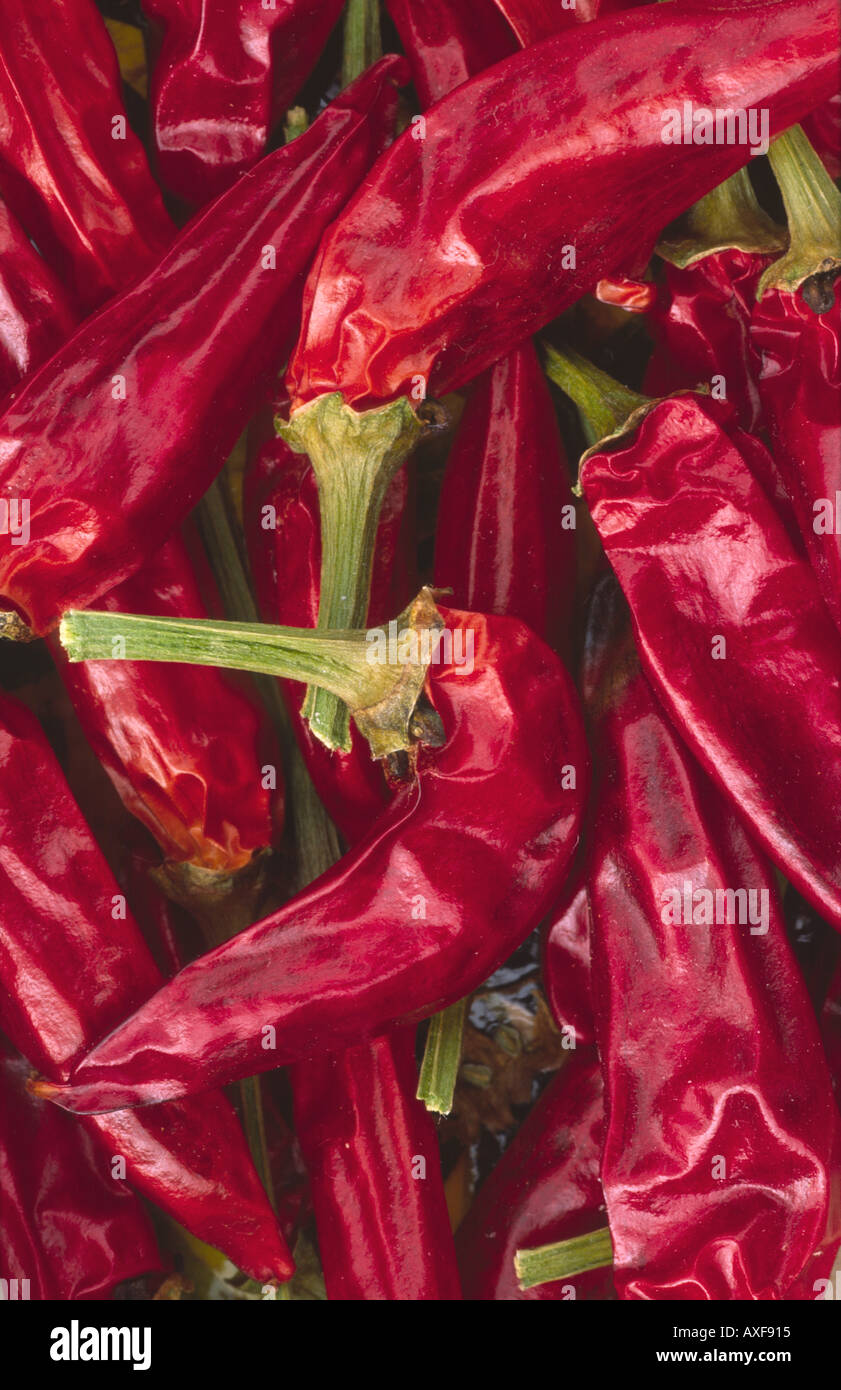 Chili pepper south america harvest hi-res stock photography and images ...