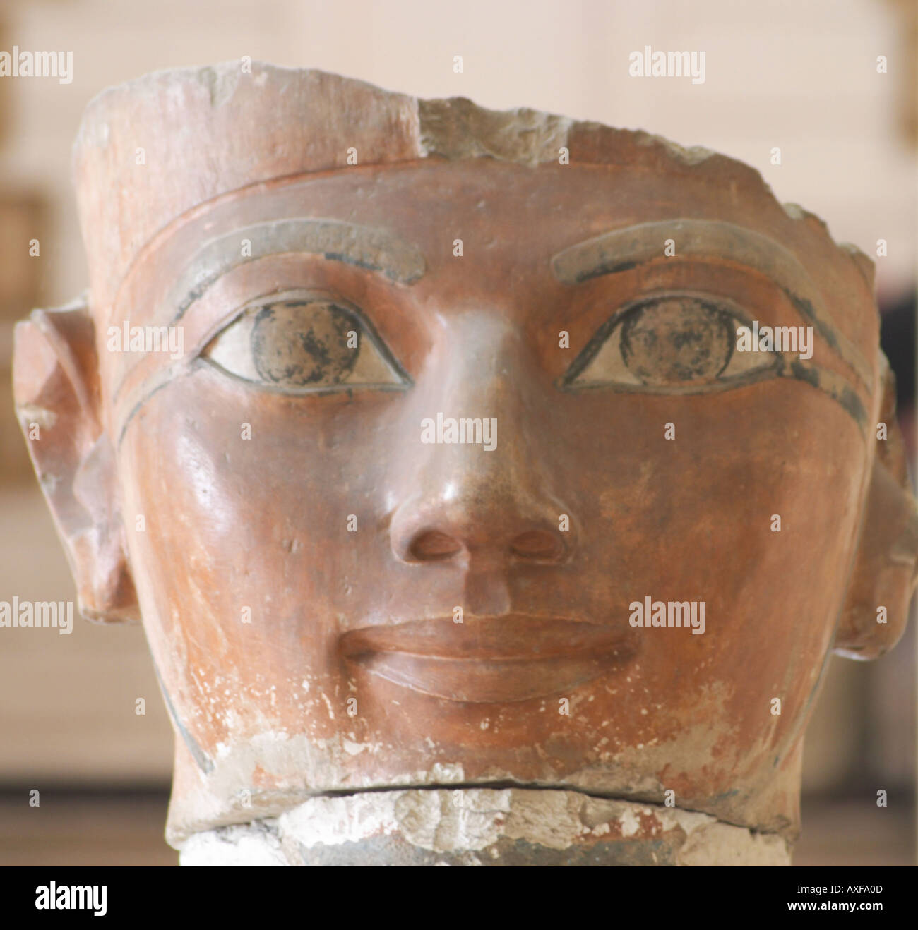 Face of statue of the female Pharaoh Hatshepsut Cairo Museum Stock ...