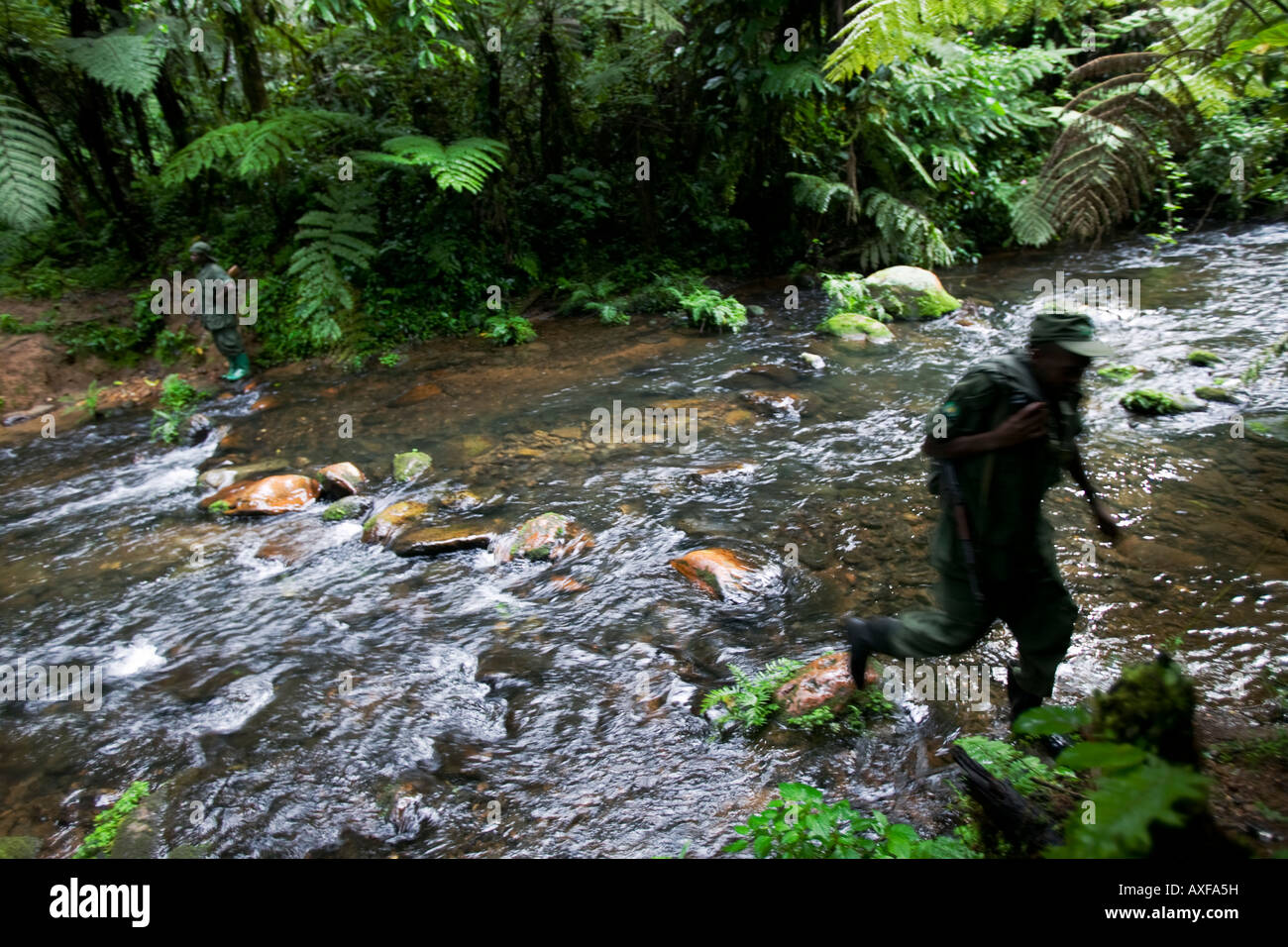 African park ranger hiking hi-res stock photography and images - Alamy
