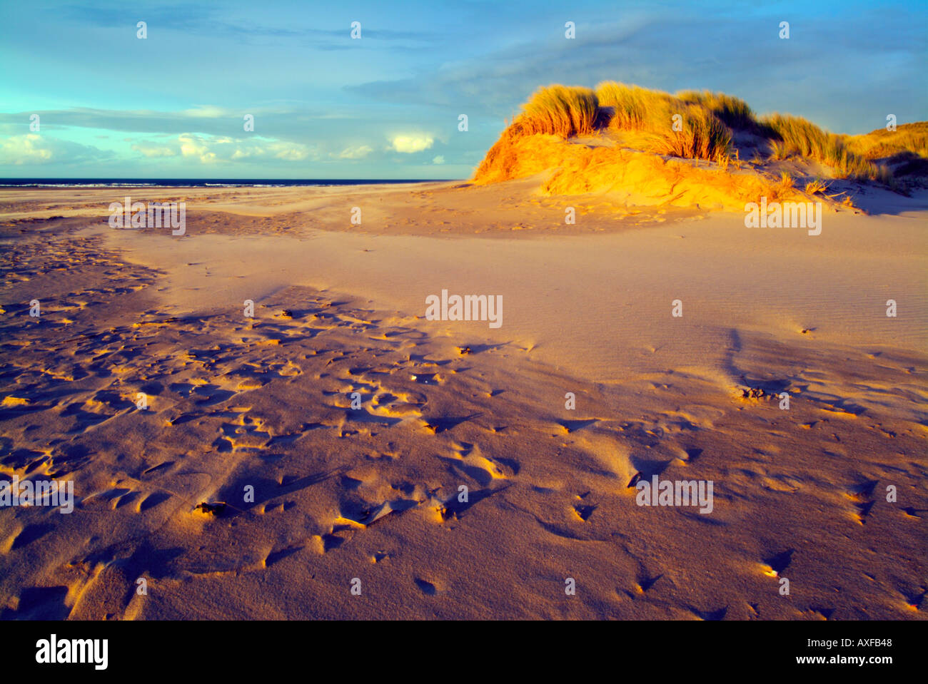 Sand bay in evening hi-res stock photography and images - Alamy