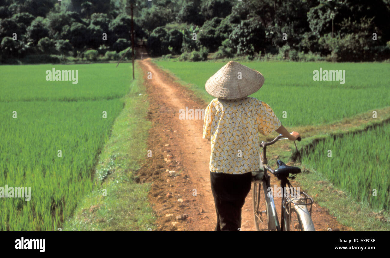 Vietnamese woman crossing road hi-res stock photography and images - Alamy