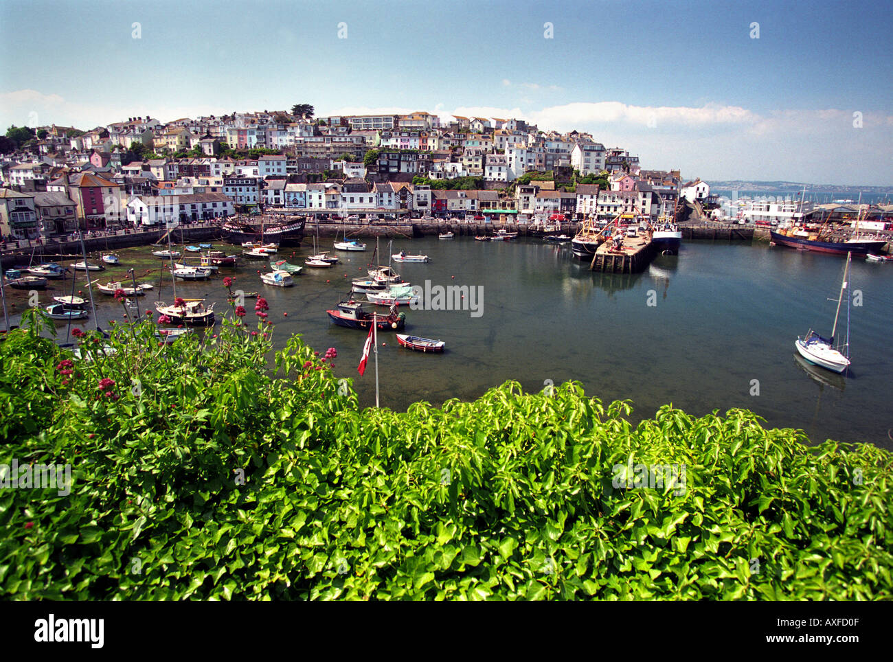 View over Brixham harbour Torbay south Devon Stock Photo - Alamy