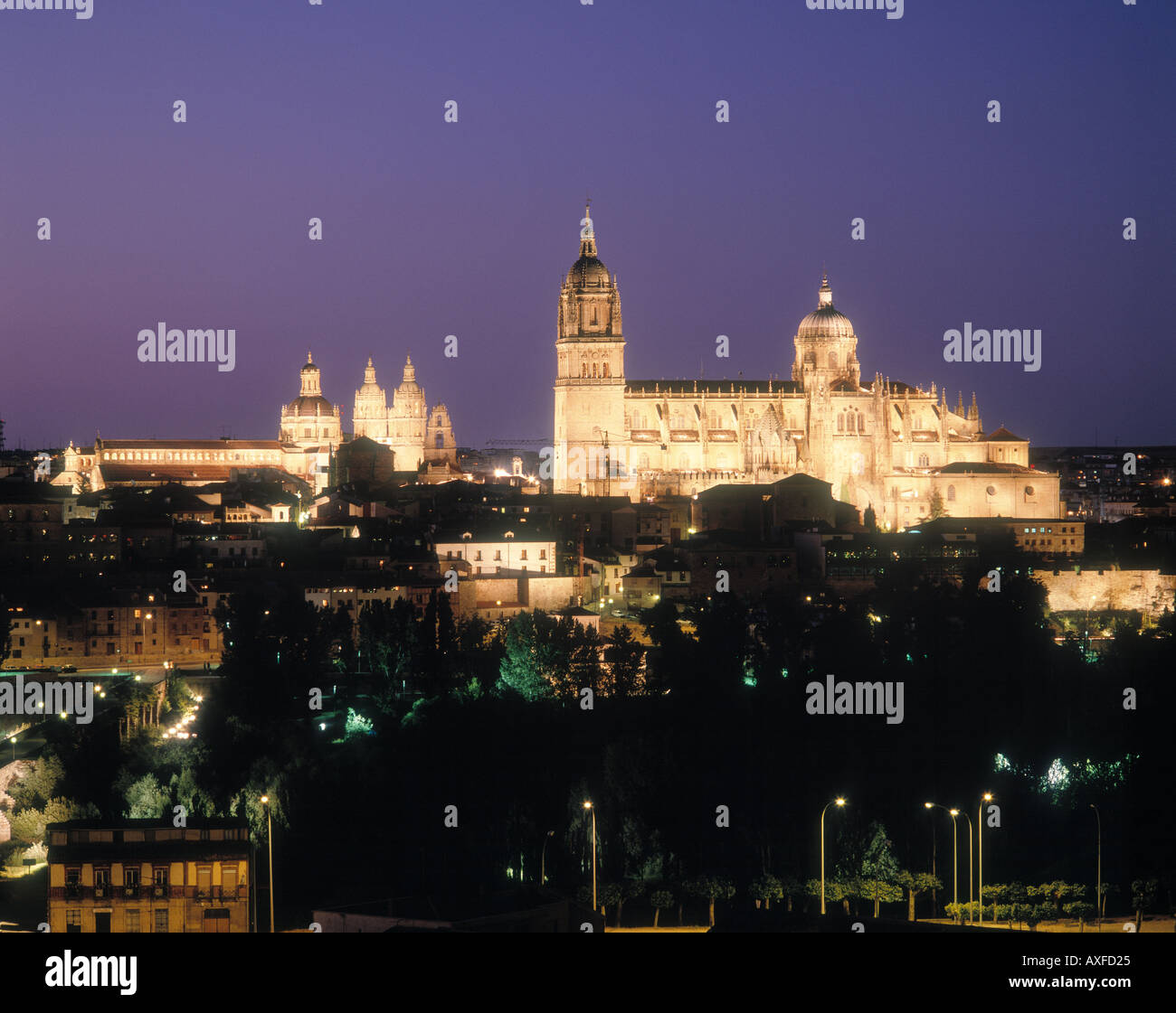 Night view cathedral salamanca hi-res stock photography and images - Alamy