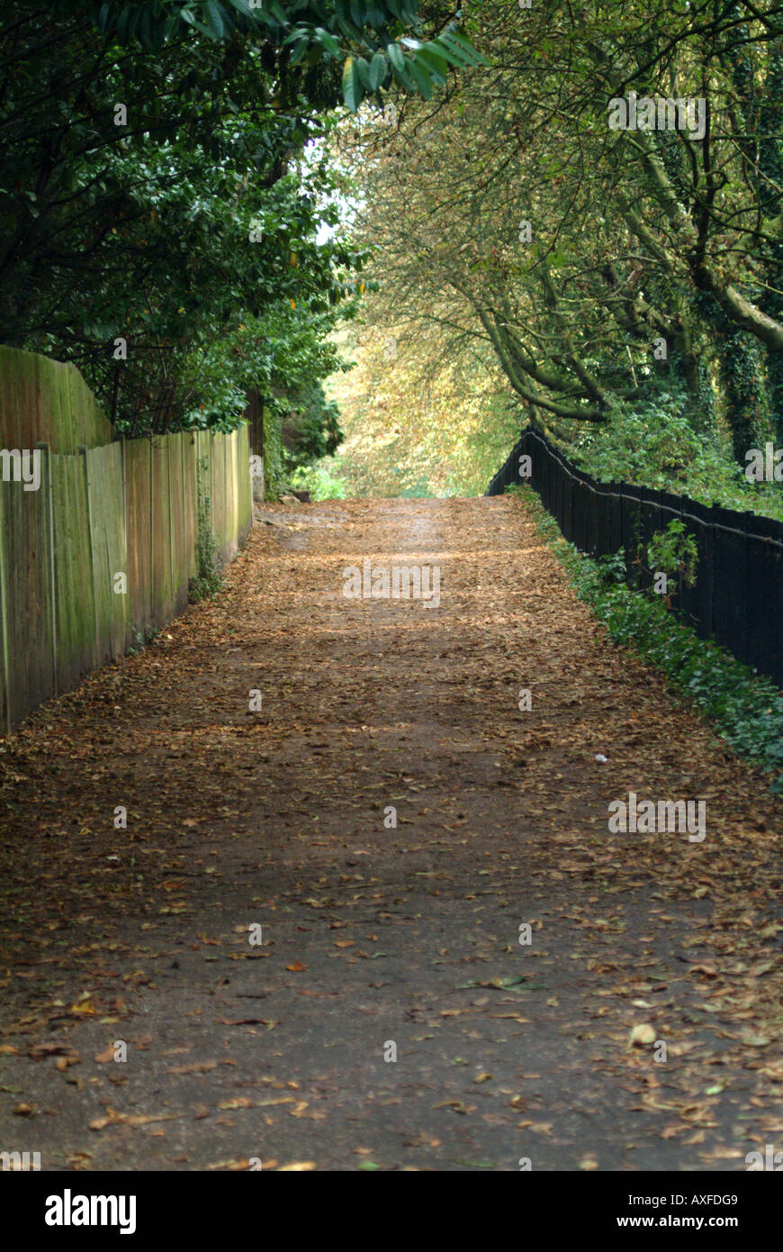 Pathway on Hampstead Heath London Stock Photo - Alamy