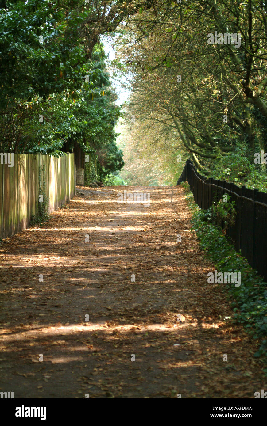 Pathway on Hampstead Heath London Stock Photo - Alamy