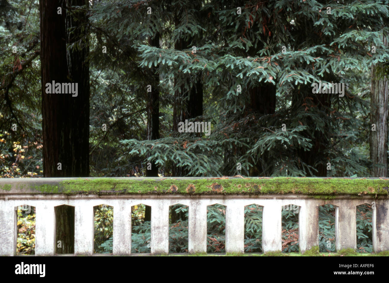 Covered bridge along scenic hi-res stock photography and images - Alamy