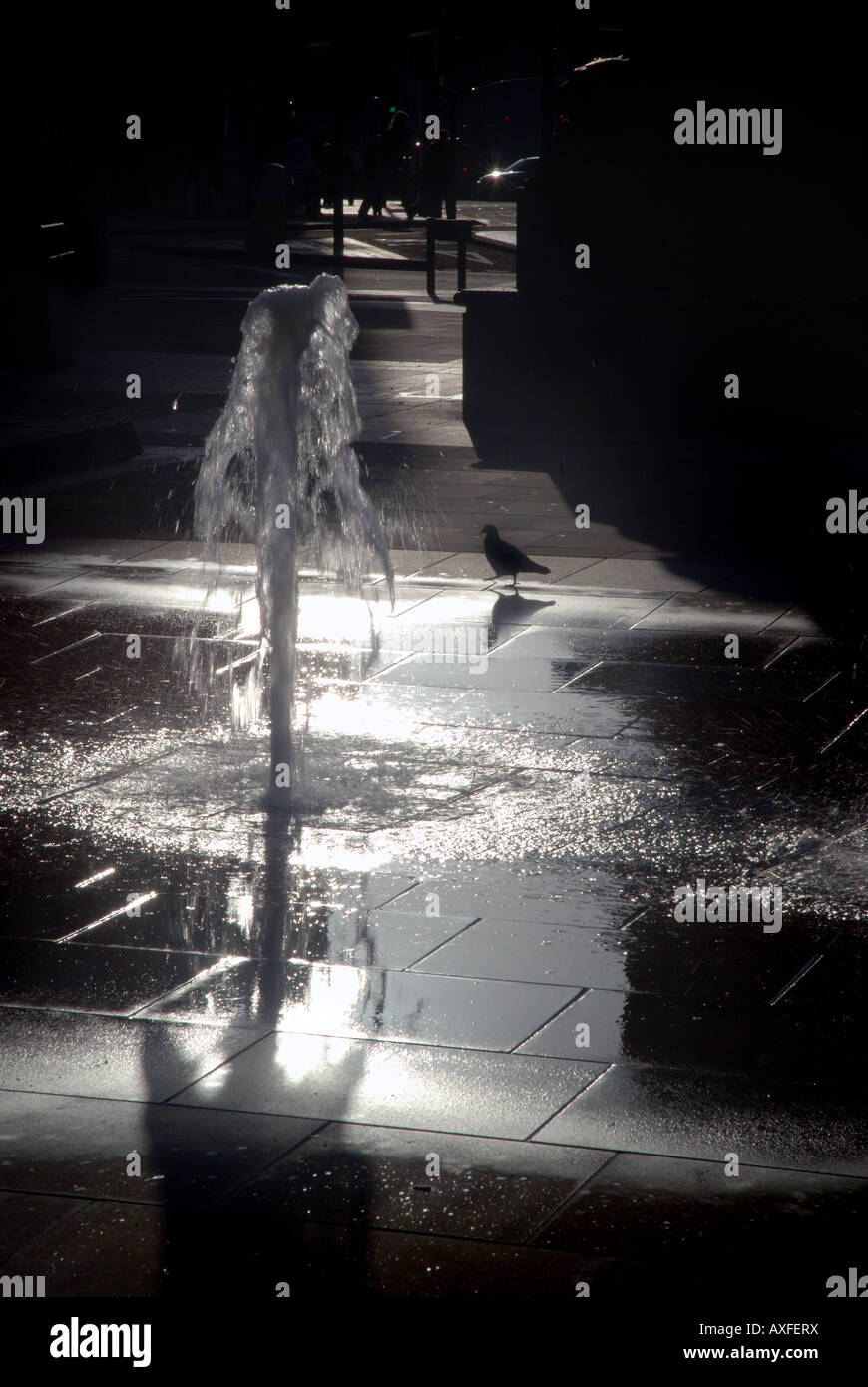 Strong back light hi-res stock photography and images - Alamy