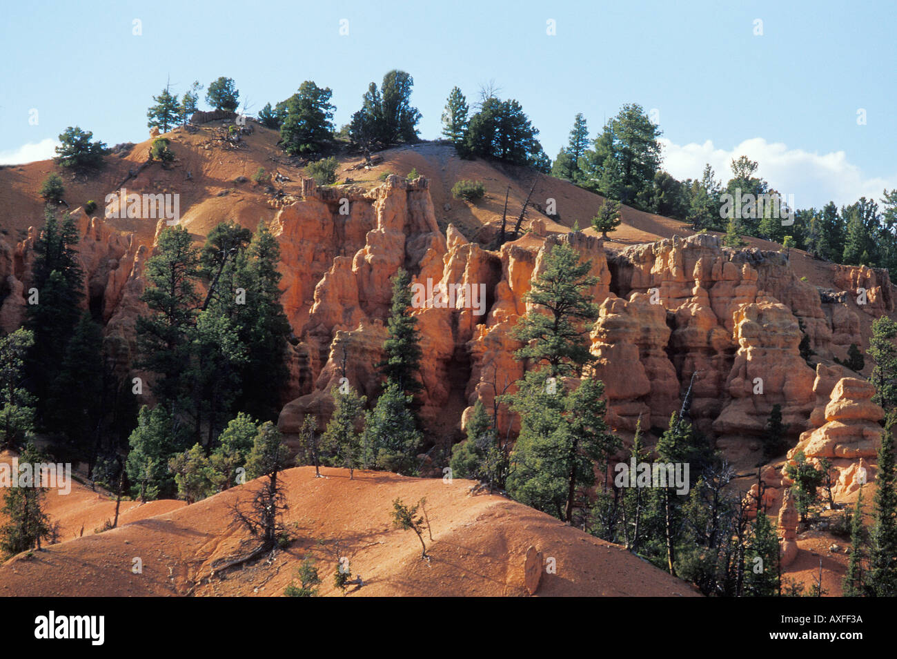 Ponderosa adventure park hi-res stock photography and images - Alamy