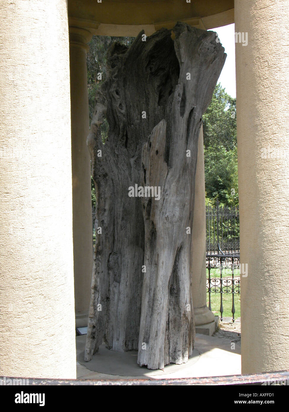 The tree of gernika hi-res stock photography and images - Alamy