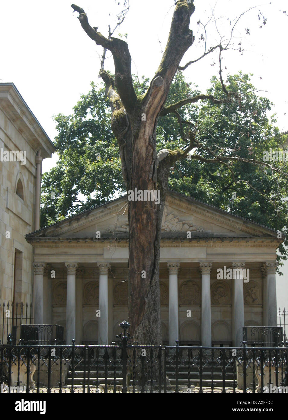 Tree of Gernika and Basque parliament buildings Casa de Juntas Stock ...