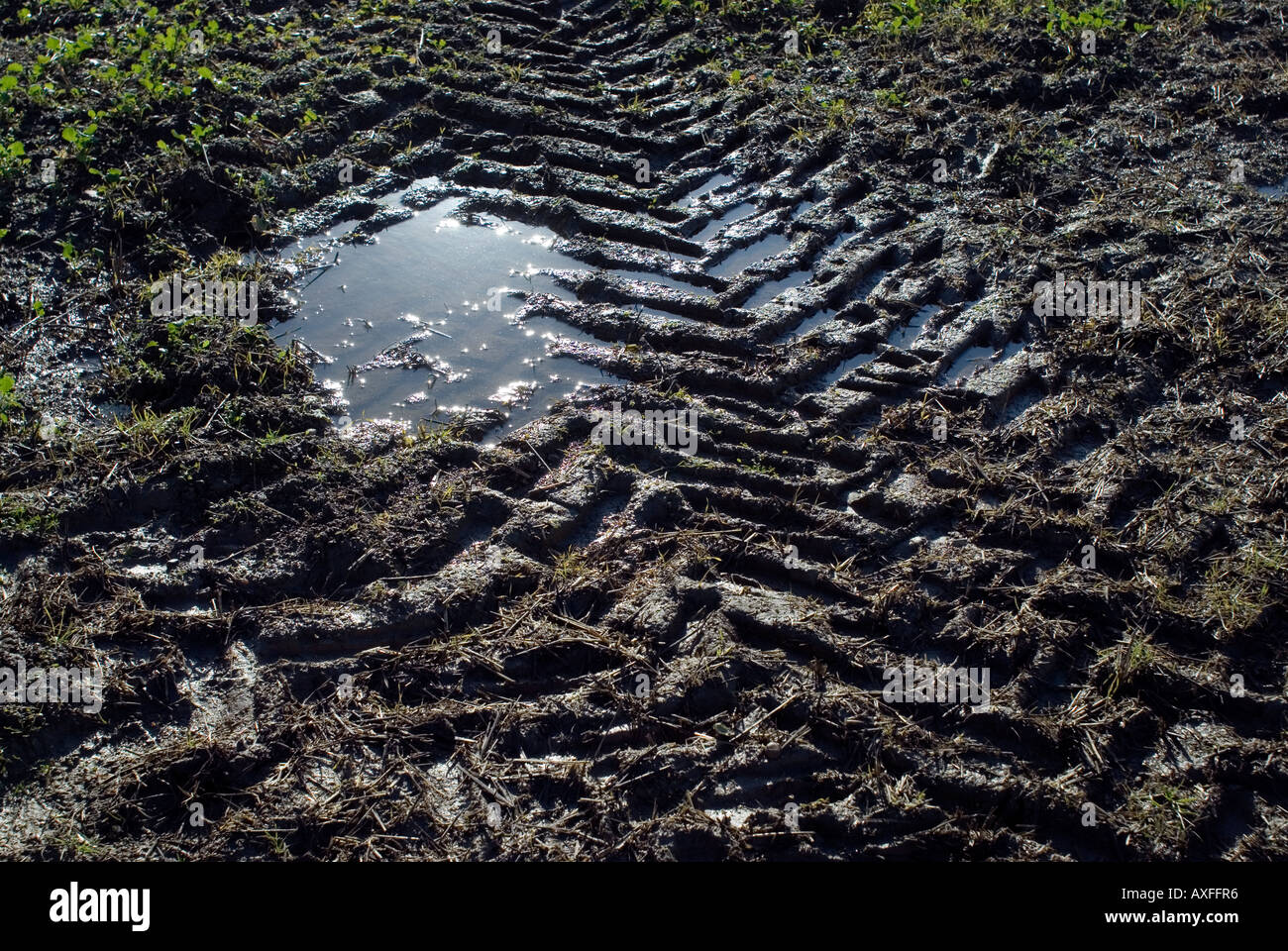 TRACTOR TRACKS IN MUDDY FIELD ESSEX ENGLAND 2006 Stock Photo - Alamy