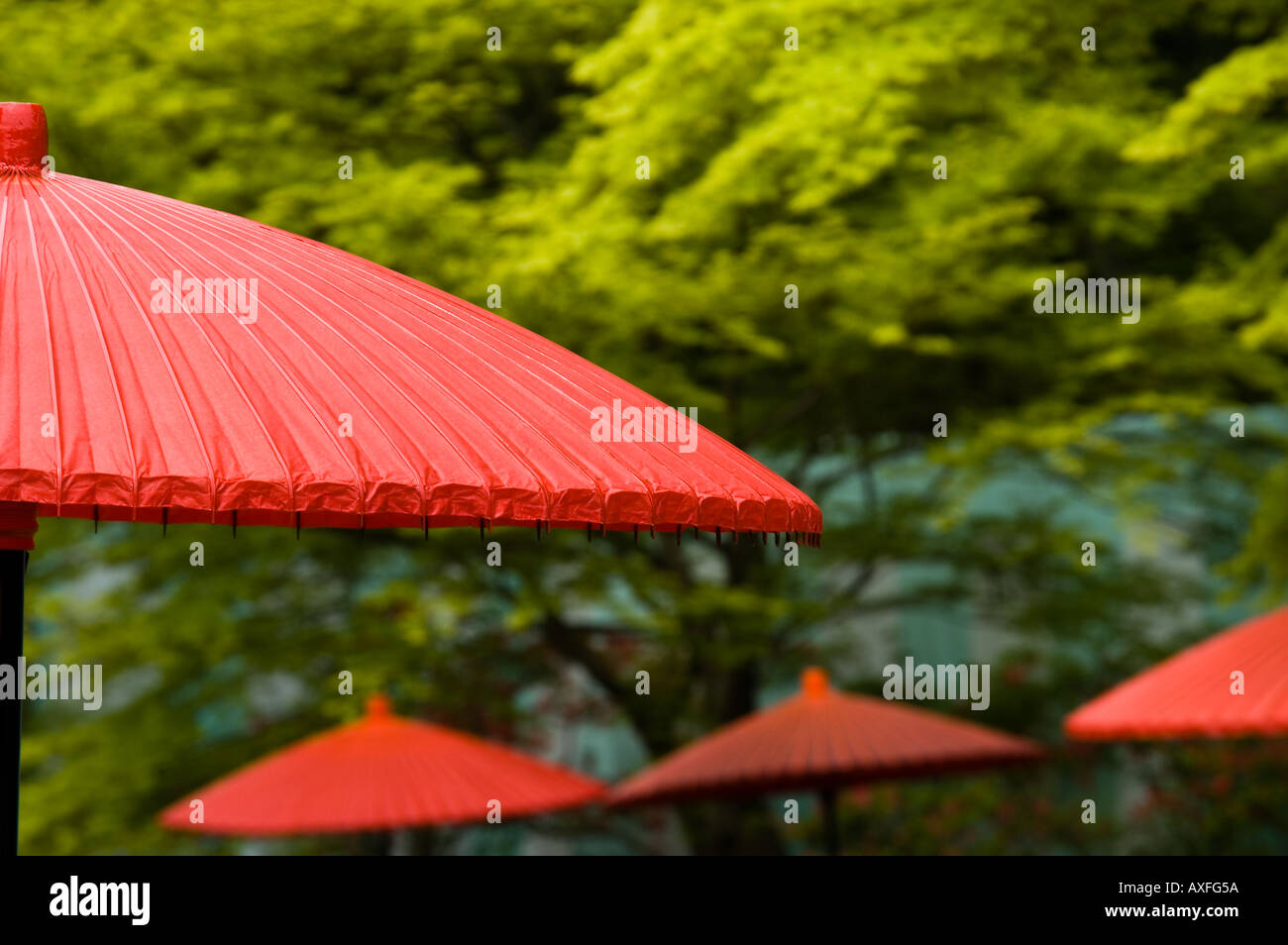 Red umbrellas stand at the Gokusui no en festival in Hiraizumi Iwate ...